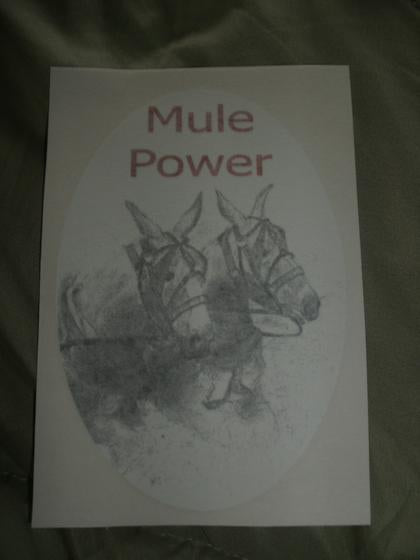 Decal - Mule Power – The Mule Store