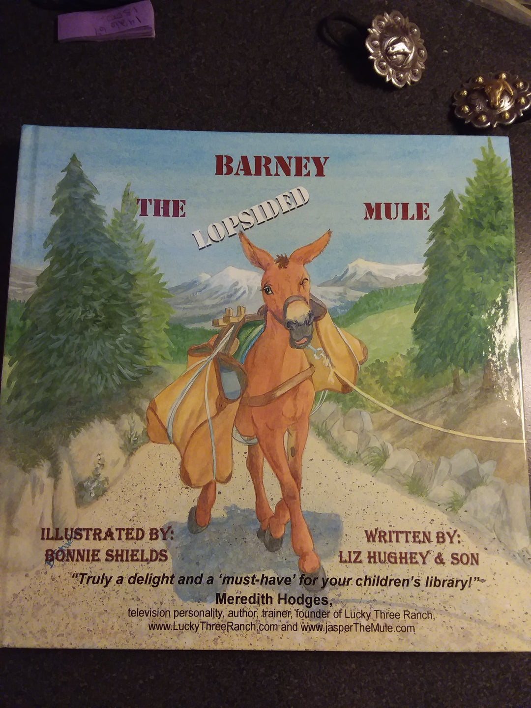 Book - Barney The Lopsided Mule – The Mule Store