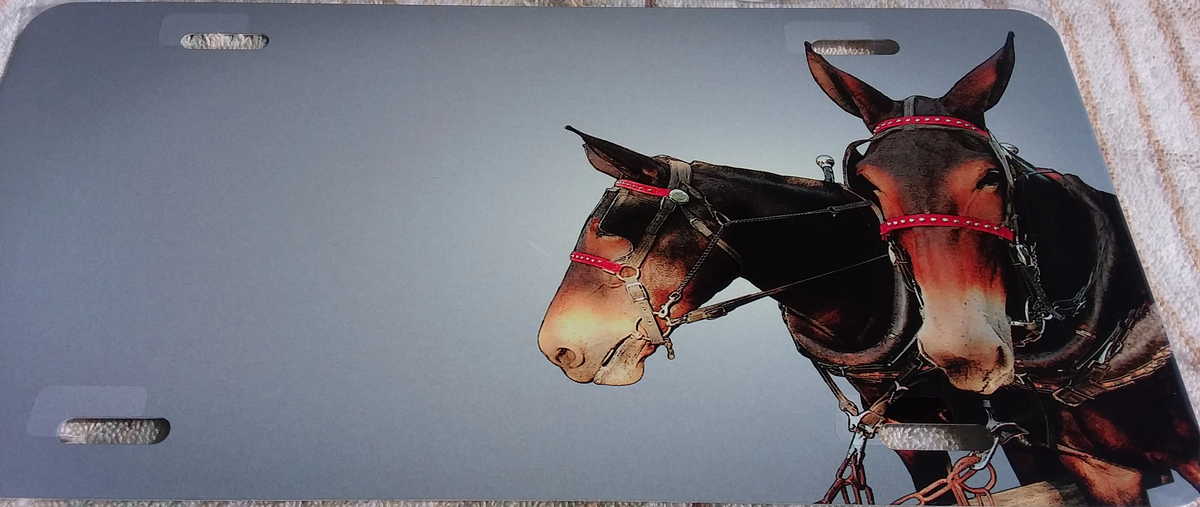 License Plate - Mule Hitch – The Mule Store
