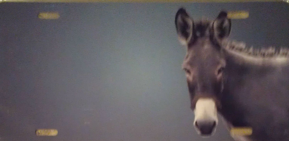 License Plate - Donkey – The Mule Store